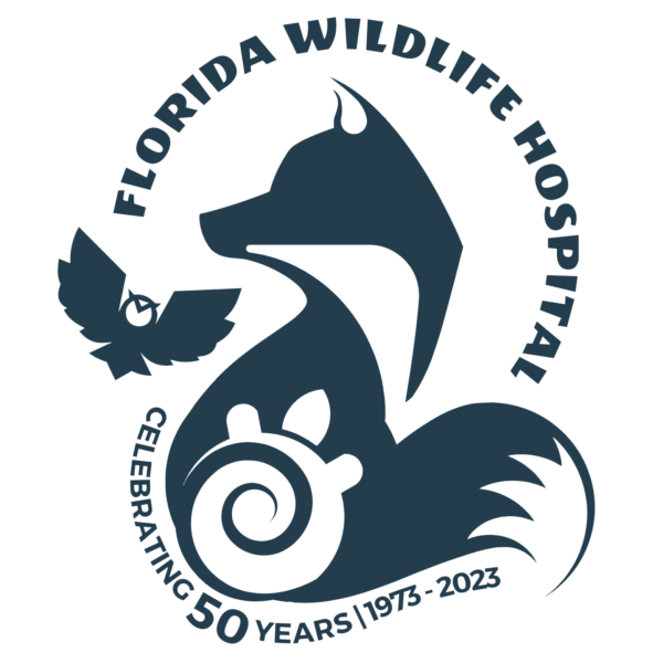 Wildlife Rehabilitation – Florida Wildlife Hospital & Sanctuary